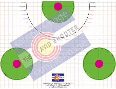 11x17 Target 5 Moa 300yd — The Avid Shooter