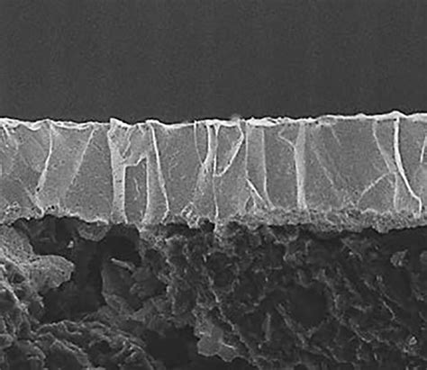 Tac 涂层石墨炉部件 Momentive Technologies