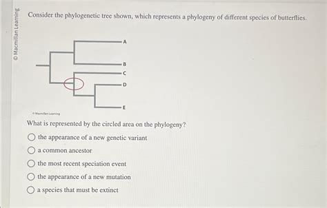 Solved Consider The Phylogenetic Tree Shown Which