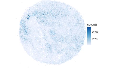 slide seq v2 exploratory data analysis voyager
