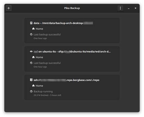 Pika Backup Borgbase Docs
