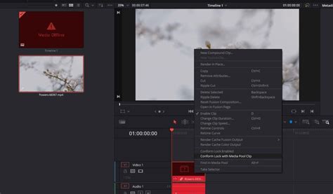 Davinci Resolve Xml Import Media Offline Fix 2025