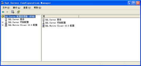 实验1 Sqlserver2008环境word文档在线阅读与下载免费文档