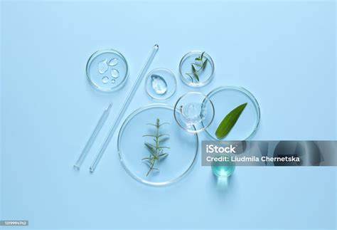 연한 파란색 배경 플랫 레이에 유기농 화장품용 실험실 유리 제품 및 천연 성분 화장품에 대한 스톡 사진 및 기타 이미지 화장품 음식 재료 피펫 Istock