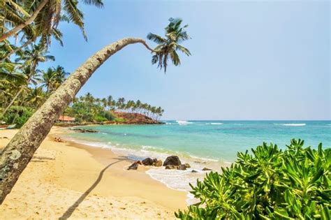 Sri Lanka Y Maldivas La Combinación De Viaje Perfecta Viajes Beagle