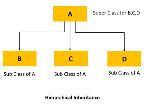 Introduction To Inheritance In C