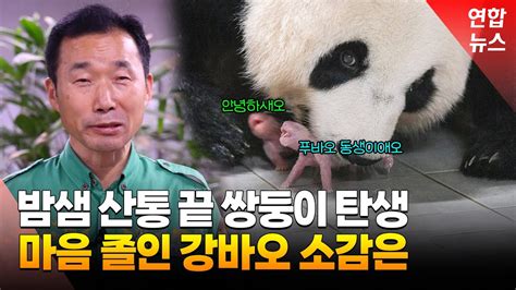 국내 첫 쌍둥이 판다 탄생…푸바오 언니됐다 녜 제가 언니라구요ㅎㅎㅎ 연합뉴스 Yonhapnews Youtube
