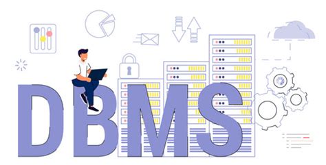 Database Administrator Dbms Software Data Center Vector Image