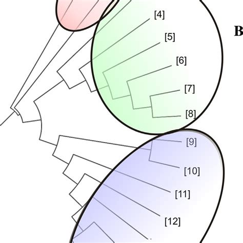 In Silico Hierarchical Clustering Of Crac Ligands Into Molecular