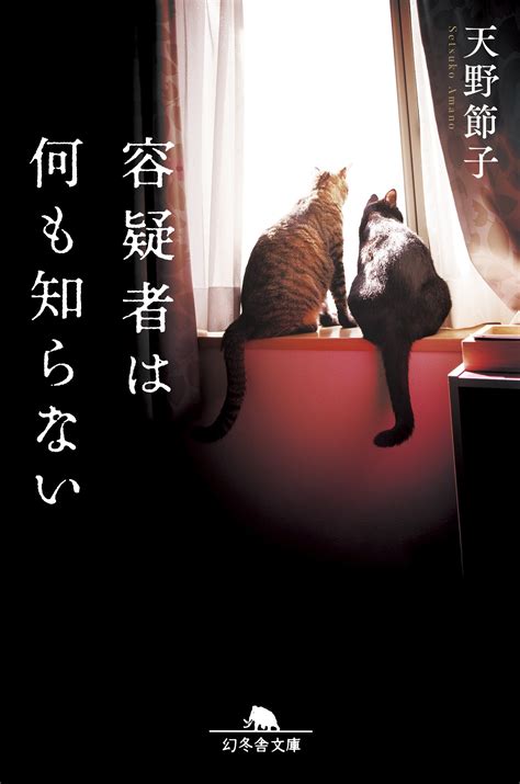 『目線』天野節子 幻冬舎