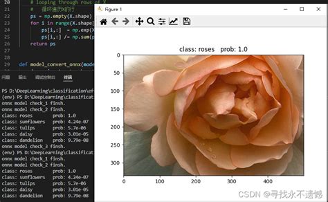 【mobilenetv2 Pytorch ＞onnx】pytorch分类模型导出onnx模型并验证mobilenetv2 Onnx Csdn博客
