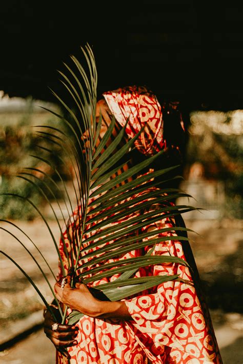 Reallysusanimegirlsnoblur Photos Download The Best Free Really