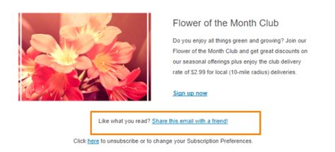 How To Build Your Email List Fast Proven Ways You Havent Thought Of