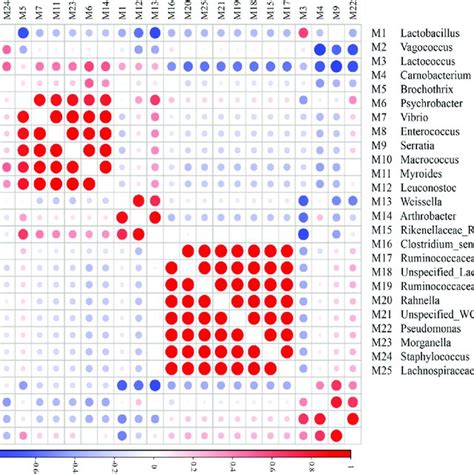 A Typical Isolated Colonies Of Lactobacillus Spp On Mrs Media B