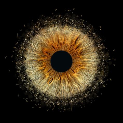 Max Kremer Photography