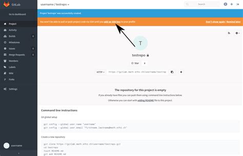 Create A Git Repository Isg D Math User Howtos