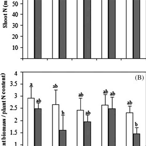 Nodule P Content In Five Common Bean Genotypes Grown Under Sufficient Download Scientific