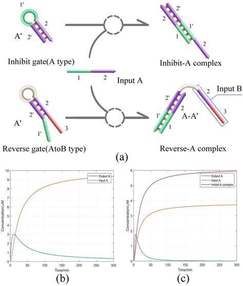 Illustration And Simulations Of A The Inhibit Gate And The Reverse