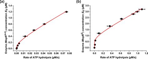Atp Hydrolysis Graph