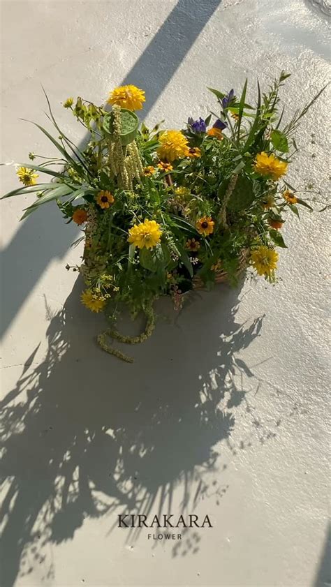왕십리역 꽃집🍦키라카라 플라워 Kirakara Basket • 키라카라 꽃바구니 한여름을 담아드린 오렌지 바스켓 🍊🌺🌈 메인 컬러는 오렌지는 다양한 화형으로 대비감을