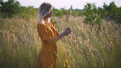 아름 다운 젊은 여자는 꽃과 Spikelets의 꽃다발 필드 수집에 산책 일몰 또는 해돋이에 잔디에 매력적인 여자의 초상화 가을에 대한 스톡 사진 및 기타 이미지 Istock
