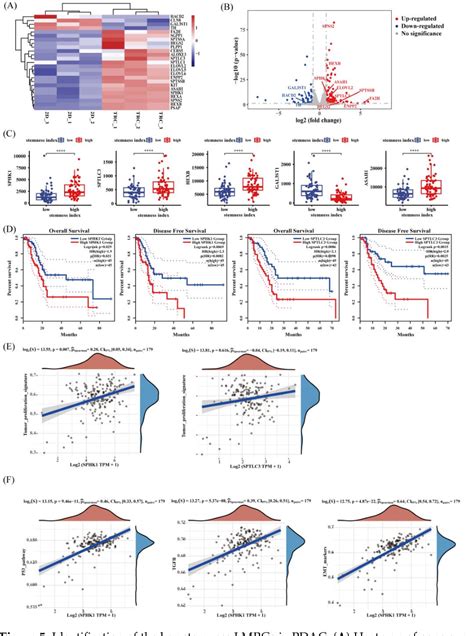 Figure 5 From Transcriptome And Lipidomic Analysis Suggests Lipid Metabolism Reprogramming And