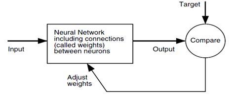 11 Neural Networks Theory Download Scientific Diagram