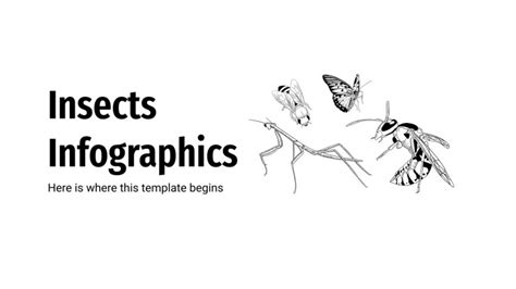 Insect Template