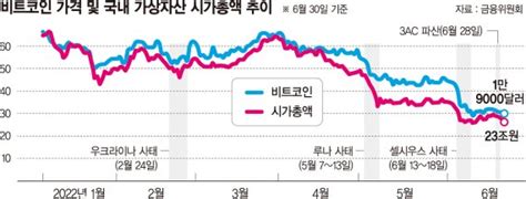 상반기 가상자산 시총 23조 6개월만에 반토막 났다 파이낸셜뉴스