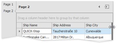 Navigation Pane Winforms Controls Devexpress Documentation