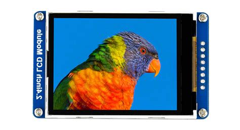 Is An Oled Display Worth The Upgrade Over An Lcd On Your Iphone Kelai