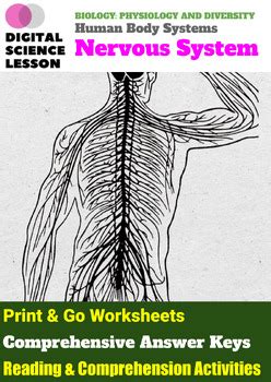 Nervous System By Digital Science Lesson TPT