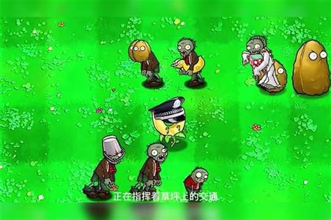 植物大战僵尸吸金磁被嘲笑从此奋发图强最后逆袭成功 吸金磁 植物大战僵尸 成功