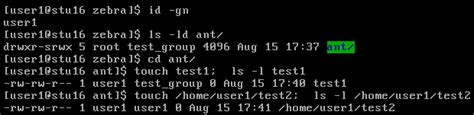 linux文件属性、权限详解 linux 文件属性 csdn博客