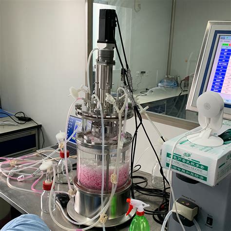 5l Lab Bioreactor Prices Ritai Bioreactor