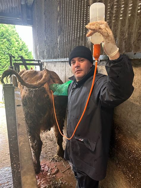 Alexandru Mutruc On Linkedin Washout