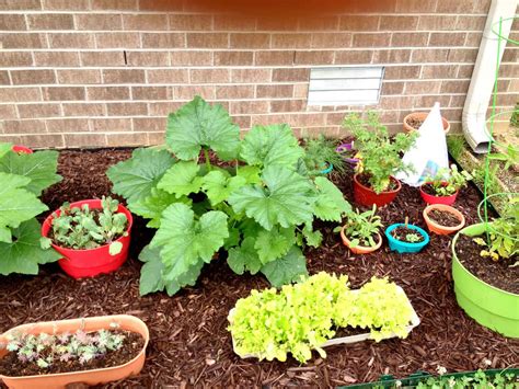 30 Best Composting Tips Garden More Sustainably Snappy Living