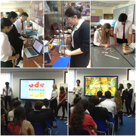 Ib Group 4 Project News St Chris