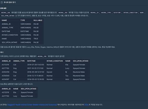 [sql] 루시와 엘라 찾기