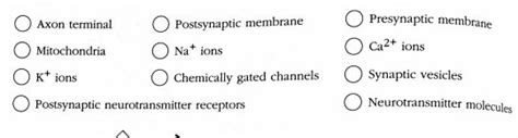 In Figure 7 2 Identify By Coloring The Following Structures Quizlet