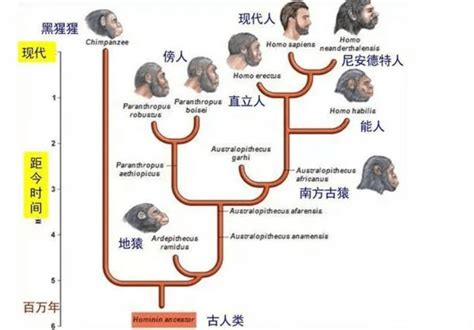 从进化来看,人类繁衍后代,男性与女性哪一方付出得更多?下一代群体种群 从进化来看,人类繁衍后代,男性与女性哪一方付出得更多?下一代群体种群