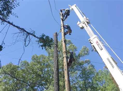 Fallen Tree Causes Power Outage Minden Press Herald