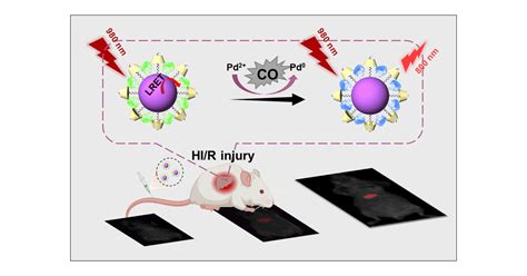 Deep Depth Imaging Of Hepatic Ischemiareperfusion Injury Using A