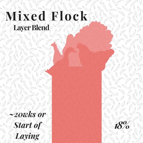Mixed Flock Layer Blend — Premium Laying Hen Feed Sugar Feather Farm