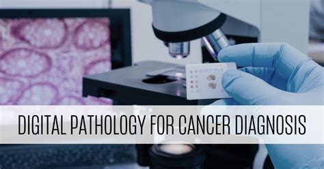 Digital Pathology For Cancer Diagnosis Imerit