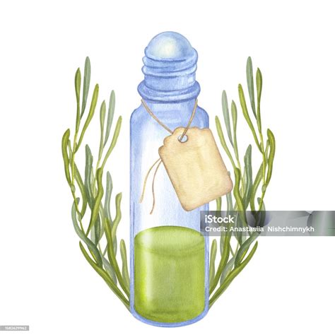 로즈마리 에센셜 오일 허브 병 라벨 신선한 에코 천연 식품 향신료 손으로 흰색 배경에 분리된 수채화 그림을 그립니다 유기농 아로마테라피 꽃 식물에 대한 스톡 벡터 아트 및