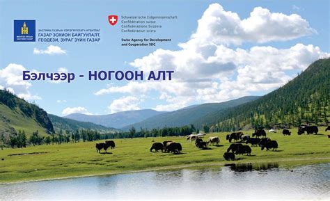 2020 онд бэлчээрийн газрын өөрчлөлтийг фото мониторингийн аргаар үнэлэх