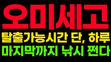 오미세고 코인 탈출가능시간 단 하루 마지막까지 낚시 쩐다 오미세고 오미세고코인 오미세고상폐 오미세고유의 오미세고코인전망 오미세고호재 오미세고유의지정