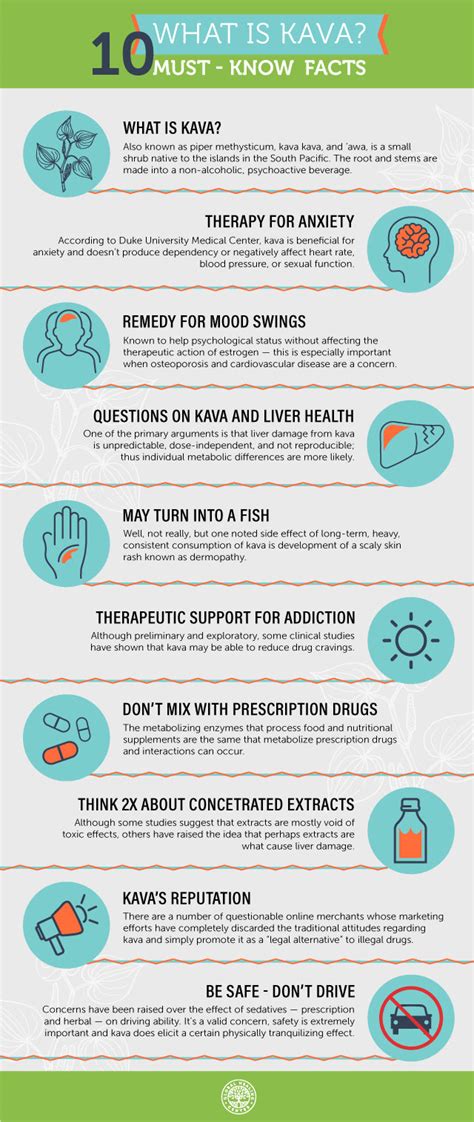 What Is Kava Must Know Facts