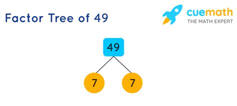 Factors Of 49 Find Prime Factorizationfactors Of 49